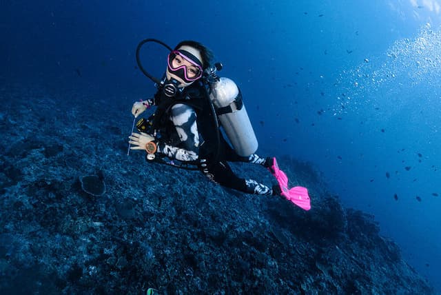 Bali Stingray Divers | Diving in Nusa Penida